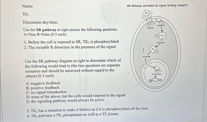 Solved Name: SR Pathway activated by signal binding receptor | Chegg.com