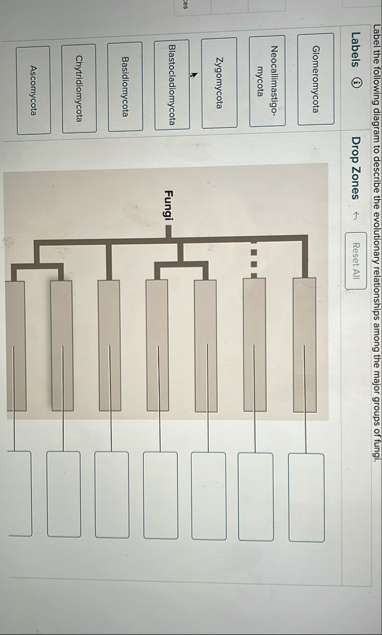 Solved Label the following diagram to describe the | Chegg.com