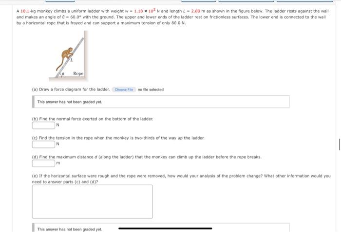 Solved A 10.1−kg monkey climbs a uniform ladder with weight | Chegg.com