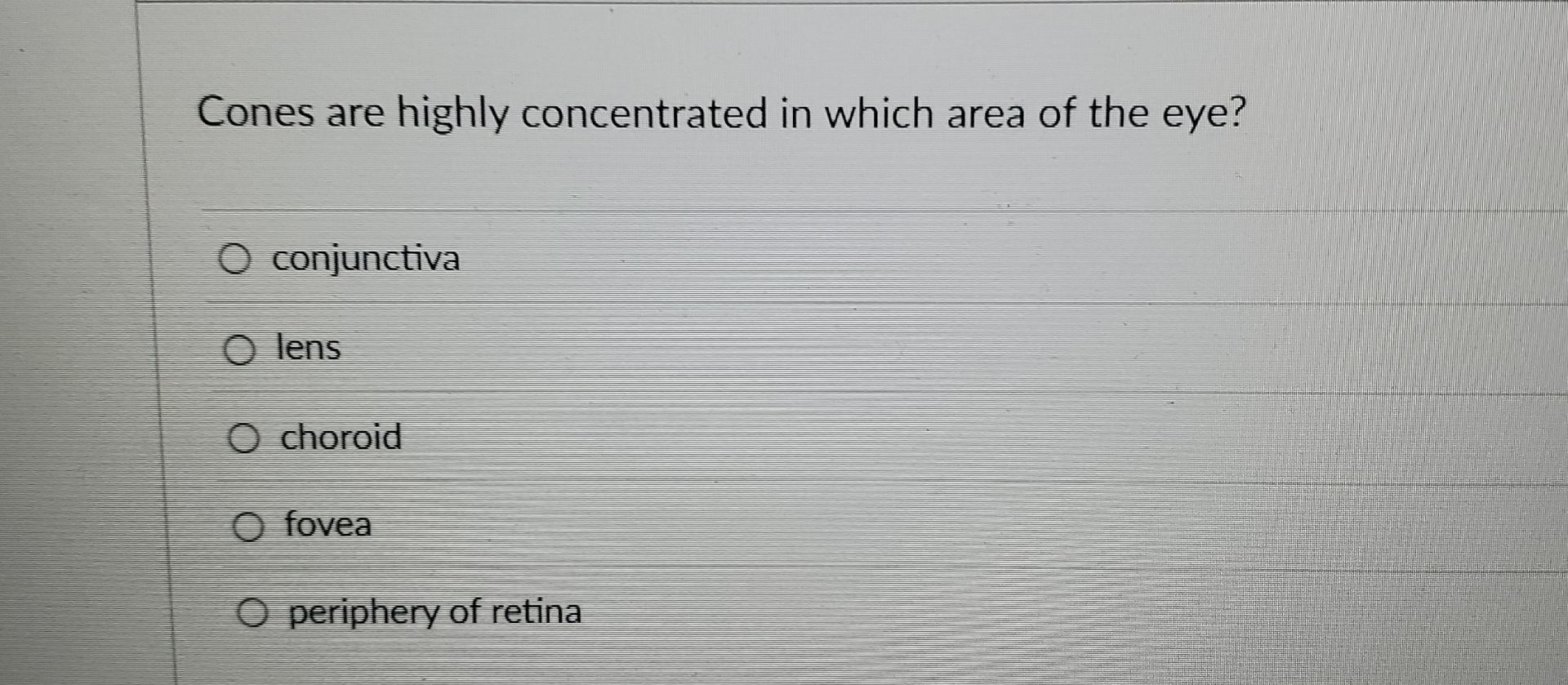 Solved Cones are highly concentrated in which area of the | Chegg.com