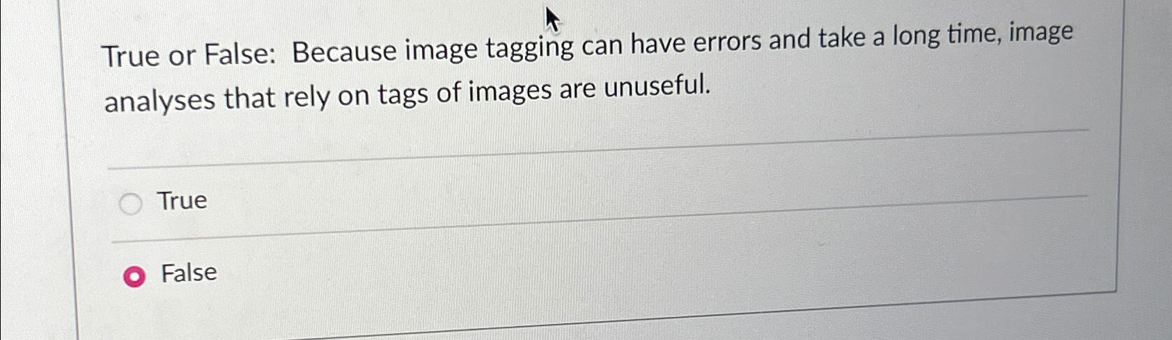 Solved True or False: Because image tagging can have errors | Chegg.com
