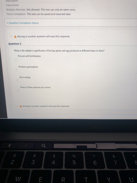 Solved Description Instructions Multiple Attempts Not | Chegg.com