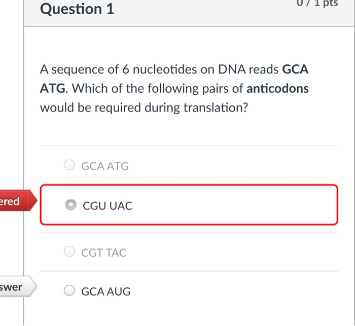 Solved Question 1 pts A sequence of 6 nucleotides on DNA | Chegg.com