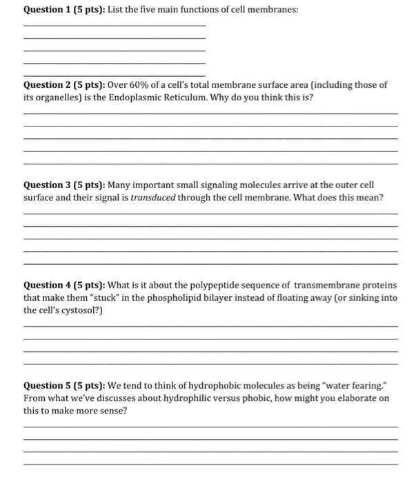 Solved Question 1 (5 pts): List the five main functions of | Chegg.com Solved Question 1 (5 pts): List the five main functions of | Chegg.com