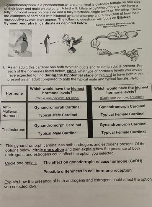 Gynandromorphism is a phenomenon where an animal is | Chegg.com