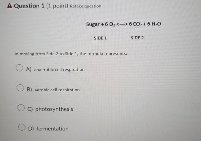 Solved Question 1 (1 ﻿point) ﻿Retake question ﻿Sugar | Chegg.com