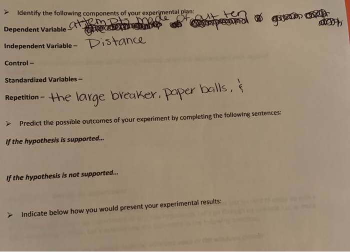 Solved Exercise B-Paper basketball experiment In this | Chegg.com