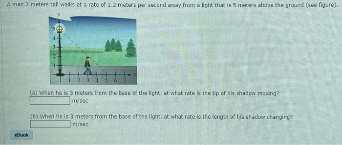 Solved man 2 meters tall walks at a rate of 1.2 meters per | Chegg.com