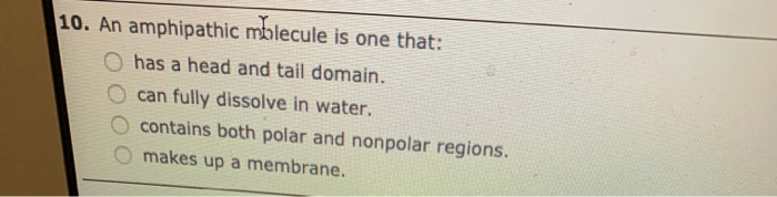 Solved 10. An amphipathic molecule is one that: O has a head | Chegg.com