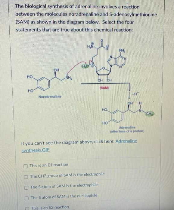 Solved The biological synthesis of adrenaline involves a | Chegg.com