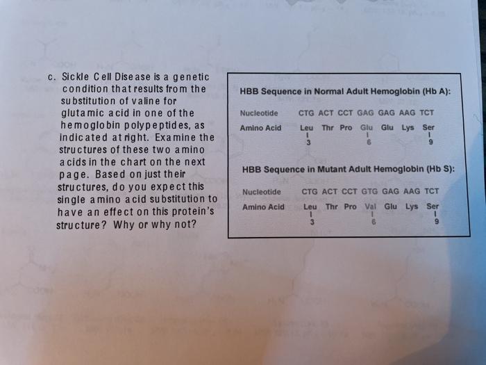 Solved HBB Sequence in Normal Adult Hemoglobin (Hb A): | Chegg.com