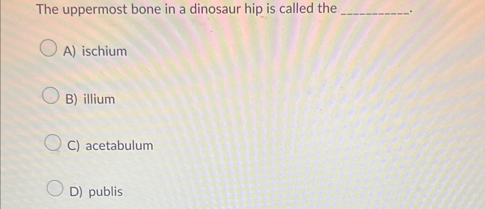 Solved The uppermost bone in a dinosaur hip is called theA) | Chegg.com