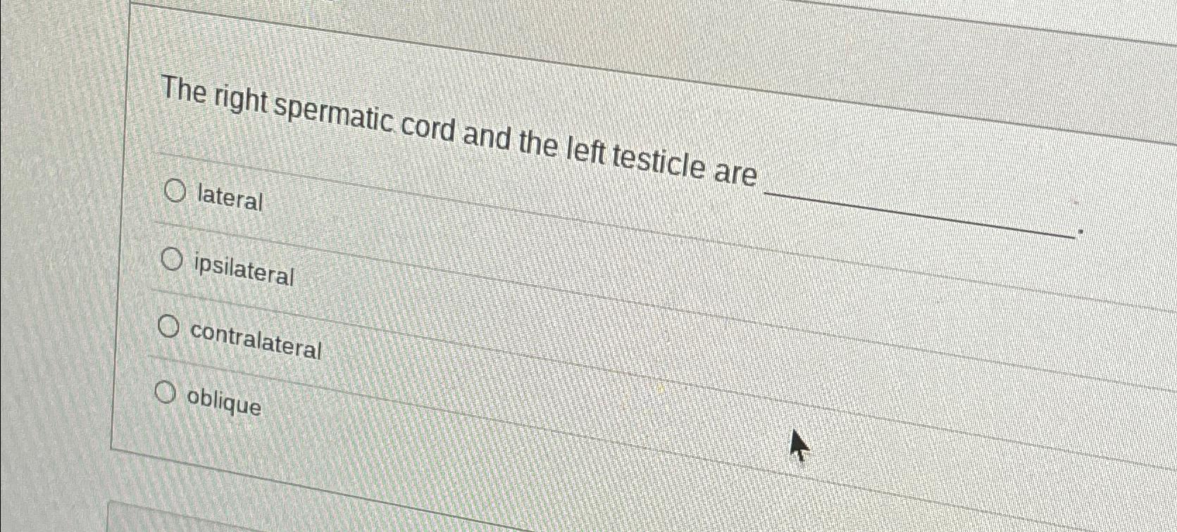 Solved The Right Spermatic Cord And The Left Testicle