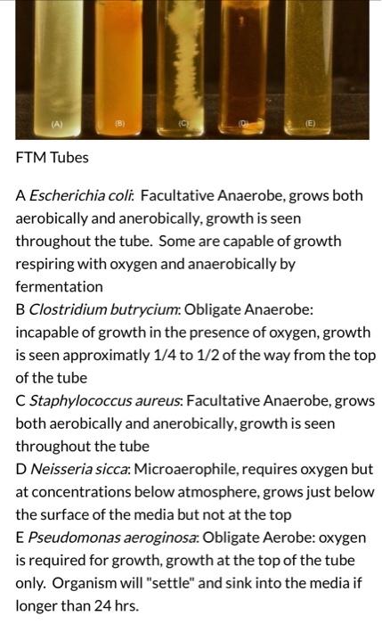 EXERCISE 14: BLOOD AGAR PLATE(BAP) Complete the table | Chegg.com