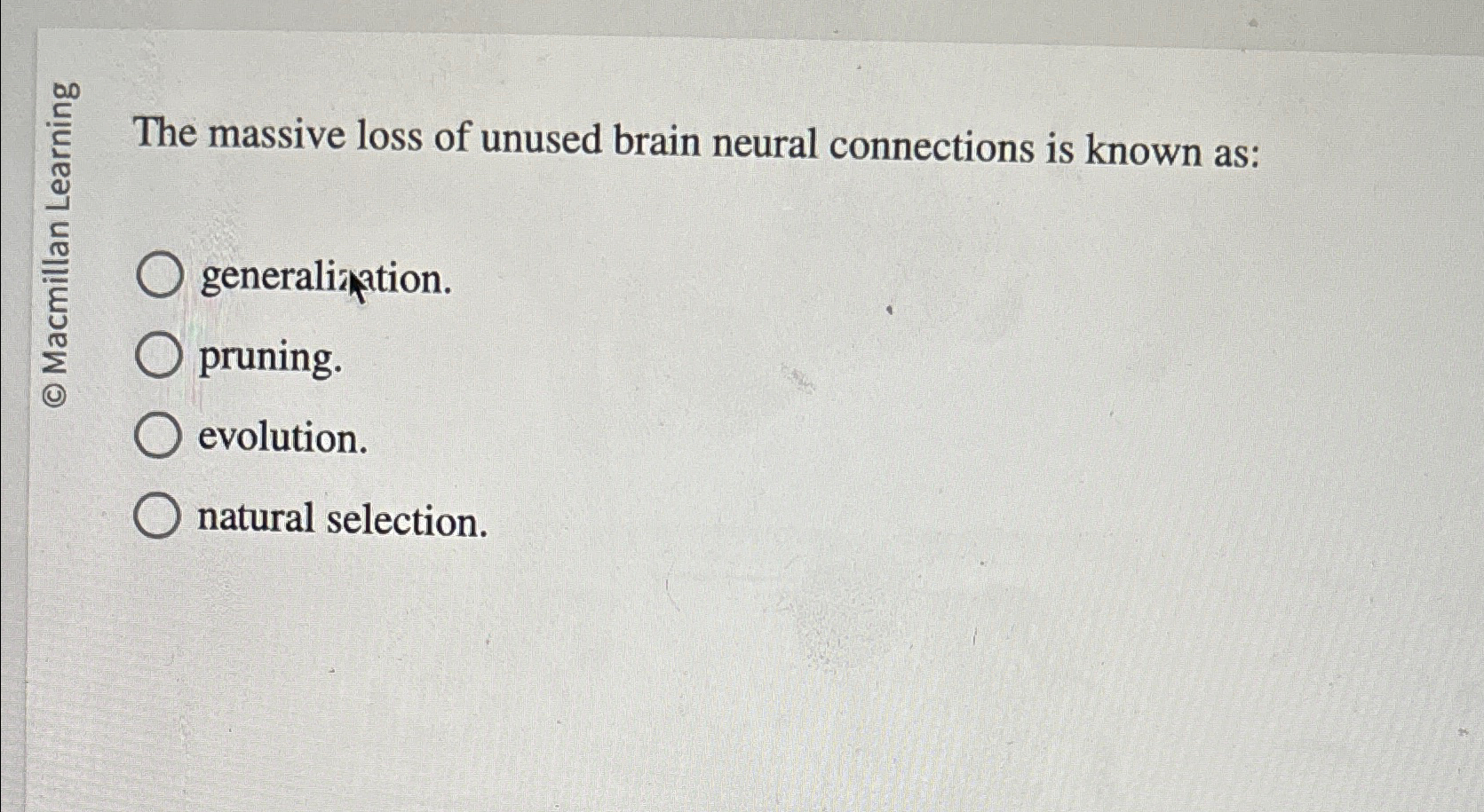 Solved The massive loss of unused brain neural connections | Chegg.com