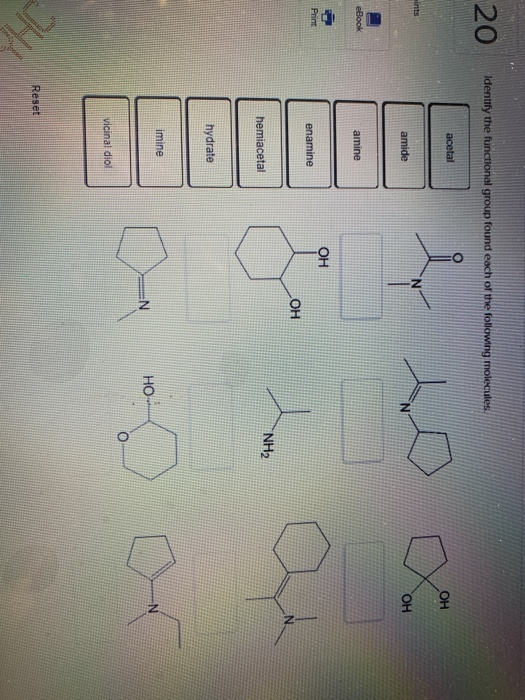 Solved Identify the functional group found each of the | Chegg.com