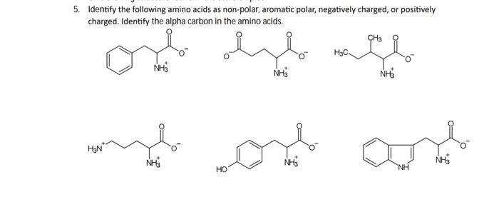 Solved 5. Identify the following amino acids as non-polar, | Chegg.com