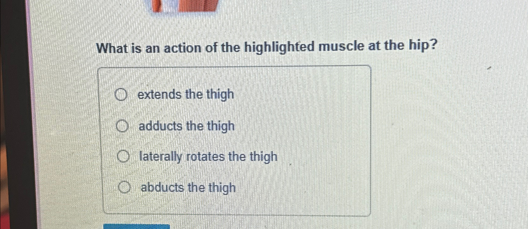 Solved What is an action of the highlighted muscle at the | Chegg.com