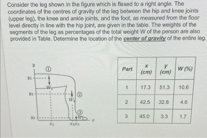 Solved Consider the leg shown in the figure which is flexed | Chegg.com