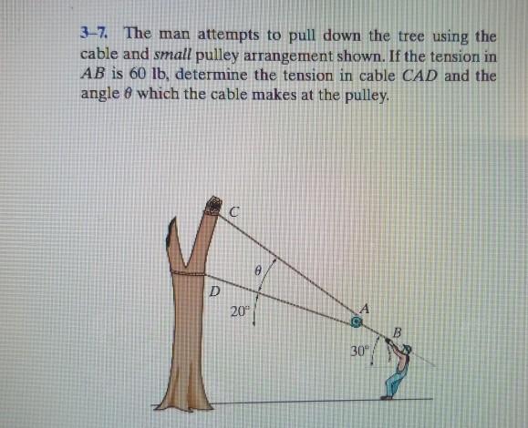 Solved 3-7. The man attempts to pull down the tree using the | Chegg.com