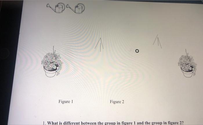 Solved Use the figures to answer the questions.Figure 1 | Chegg.com