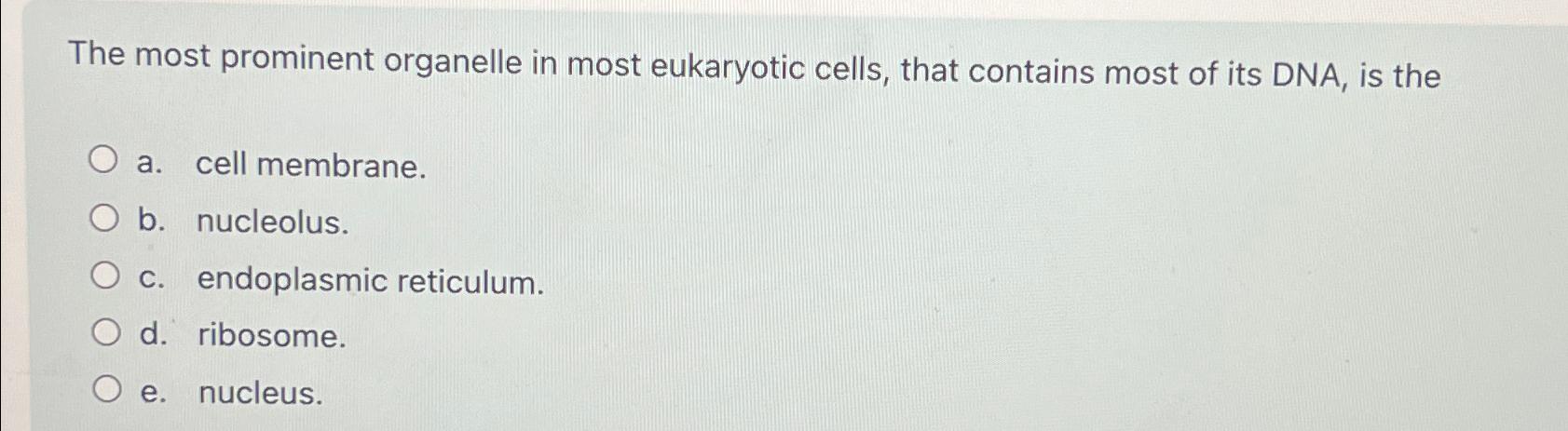 Solved The most prominent organelle in most eukaryotic | Chegg.com