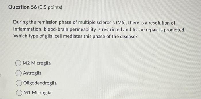 Solved During the remission phase of multiple sclerosis | Chegg.com