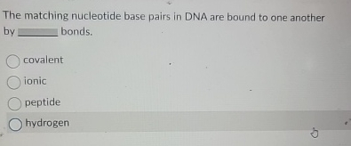 Solved The matching nucleotide base pairs in DNA are bound | Chegg.com