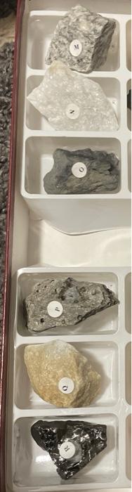 Solved Dat le ее Exercise 1 Data Sheet Table 5. Metamorphic | Chegg.com