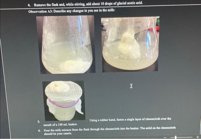 Solved Experiment 6: Proteins and Amino Acids Name Lab | Chegg.com