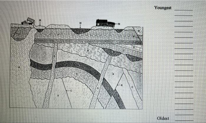 Solved Youngest Oldest Youngest R Oldest | Chegg.com Solved Youngest Oldest Youngest R Oldest | Chegg.com