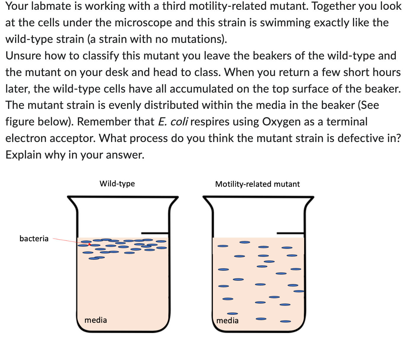 Solved Your labmate is working with a third motility-related | Chegg.com