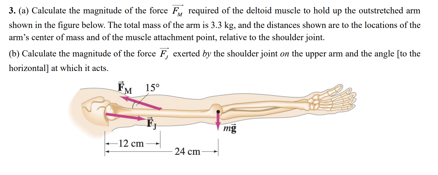 Solved 3. (a) ﻿Calculate the magnitude of the force | Chegg.com