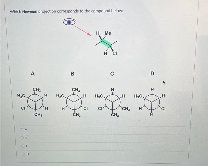 Solved Which Newman projection corresponds to the compound | Chegg.com