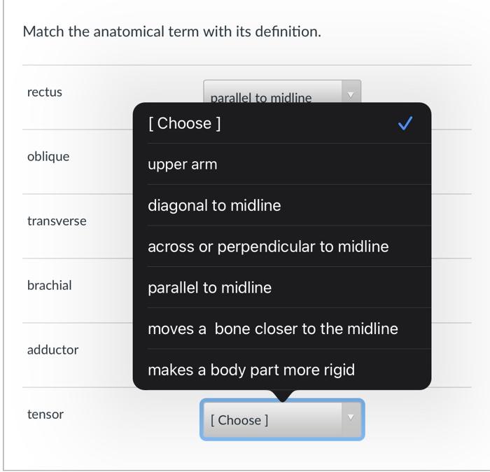 Solved Match the anatomical term with its definition. rectus | Chegg.com