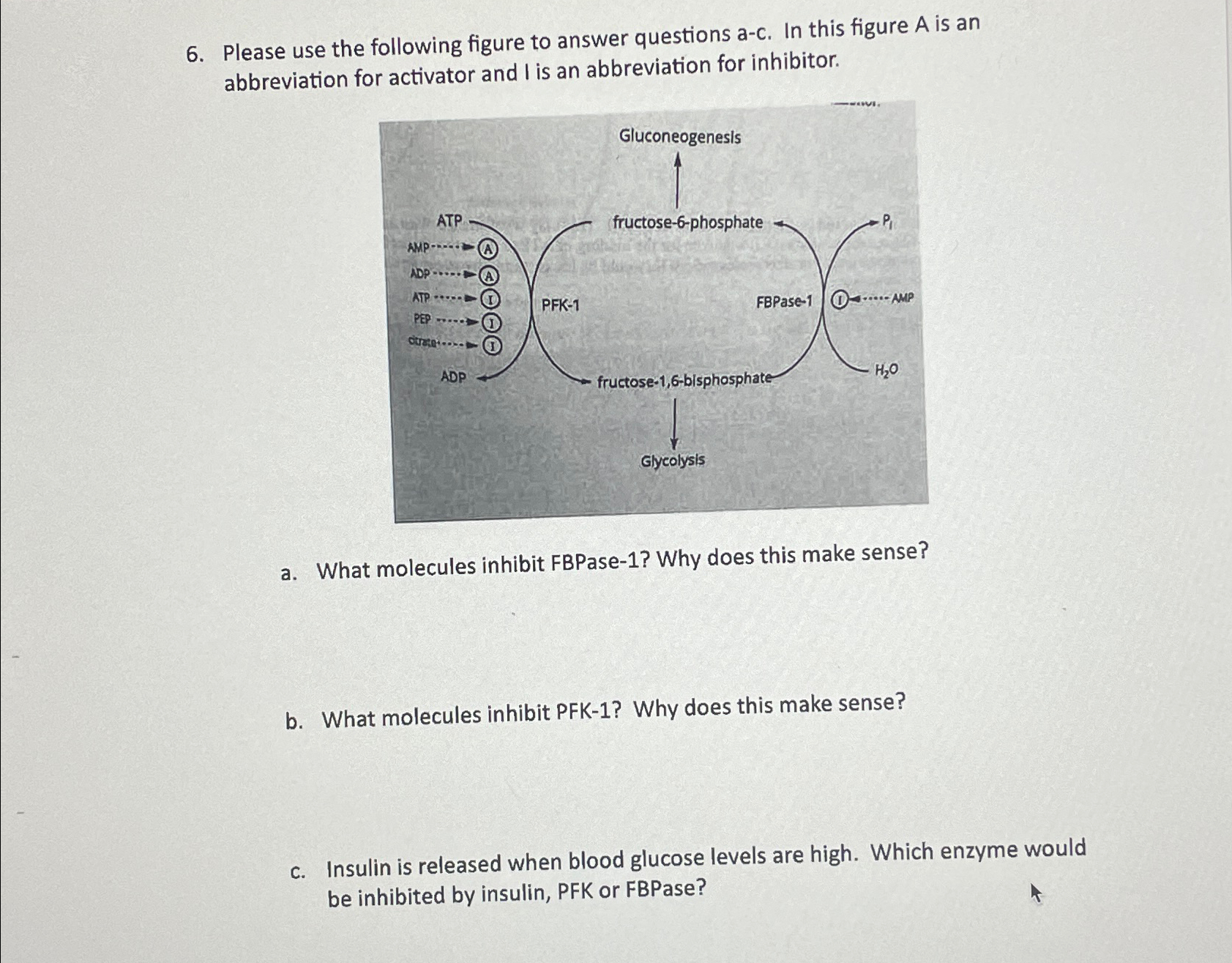 Solved Please use the following figure to answer questions | Chegg.com
