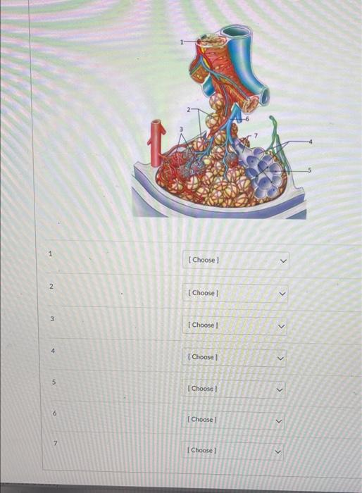 Solved 1 [Choose] 2 [Choose] 3 [Choose] 4 (Choose] 5 | Chegg.com