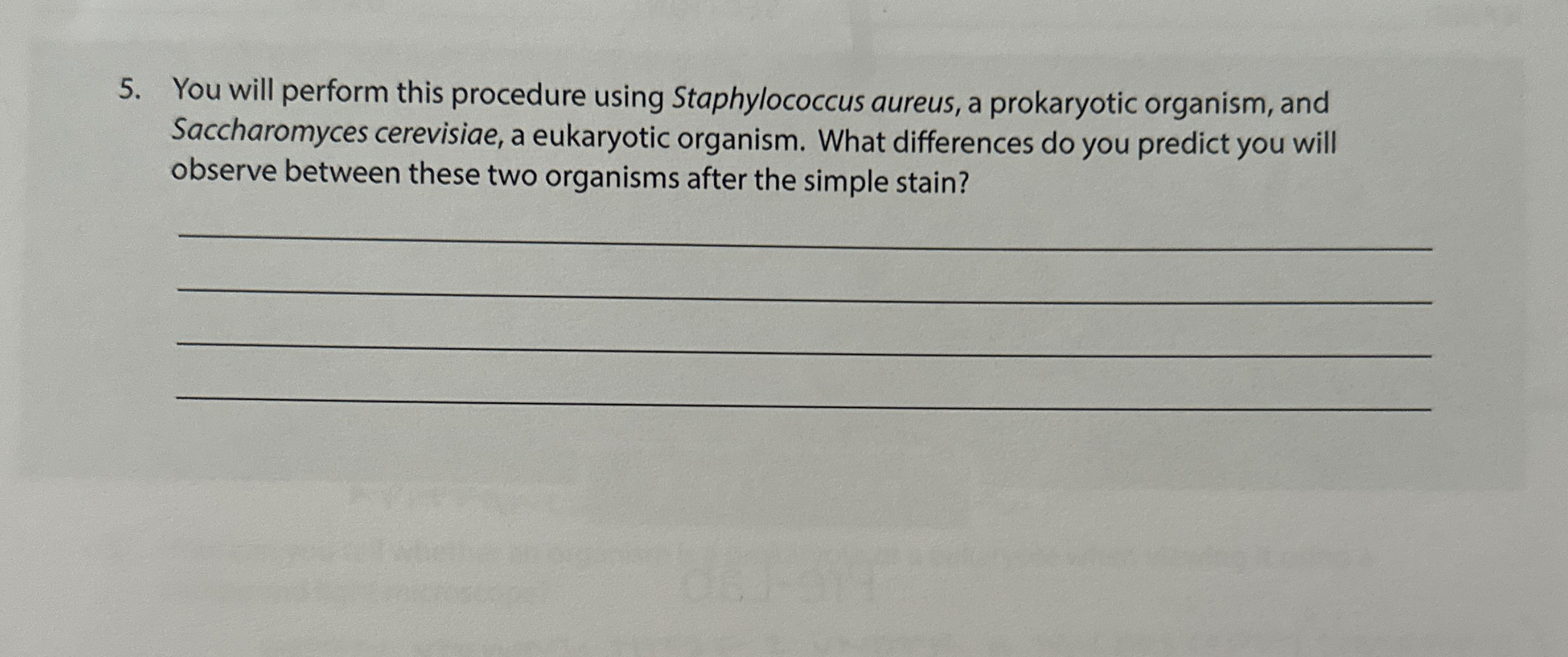 Solved You will perform this procedure using Staphylococcus | Chegg.com