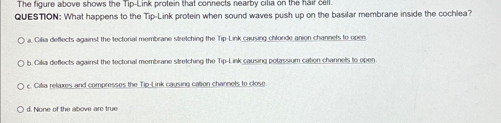 Solved The figure above shows the Tip-Link protein that | Chegg.com