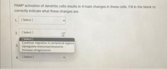 Solved PAMP activation of dendritic cells results in 4 main | Chegg.com