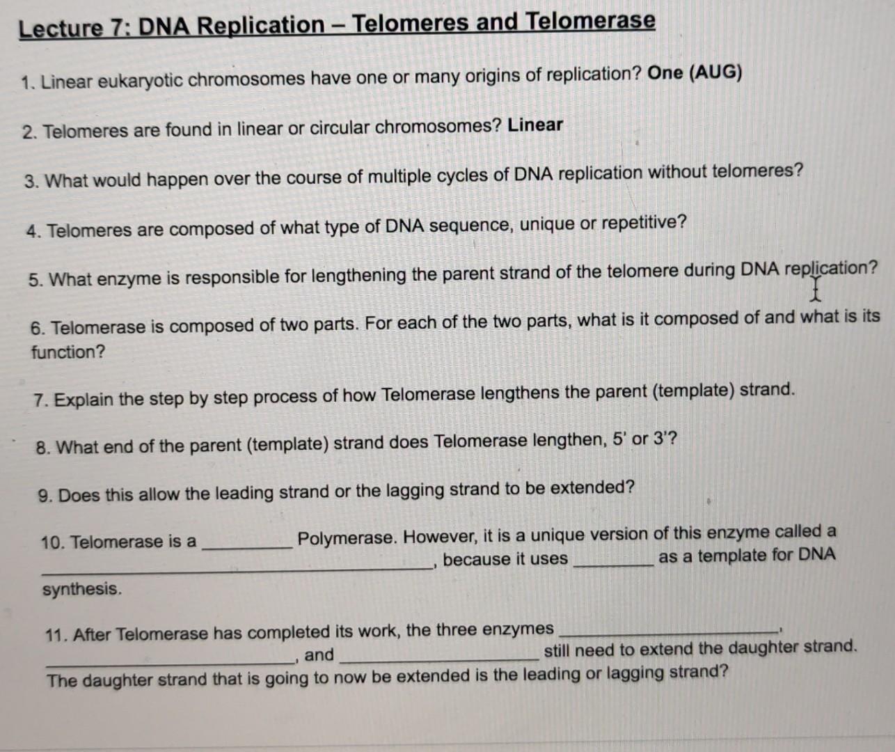 Solved Lecture 7: DNA Replication - Telomeres and Telomerase | Chegg.com
