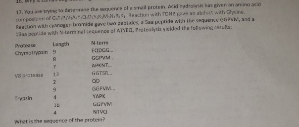 Solved 1b. 17. You are trying to determine the sequence of a | Chegg.com