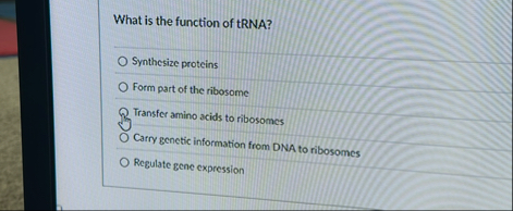 Solved What is the function of tRNA?Synthesize proteinsForm | Chegg.com