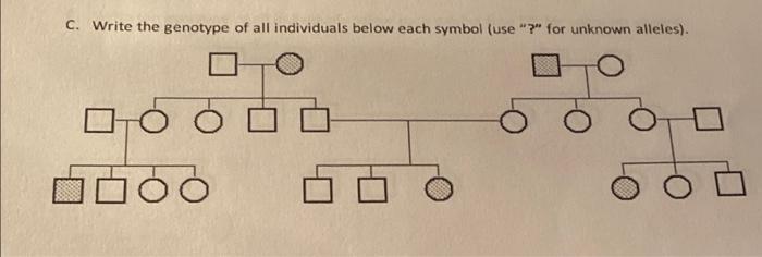 C. Write the genotype of all individuals below each | Chegg.com