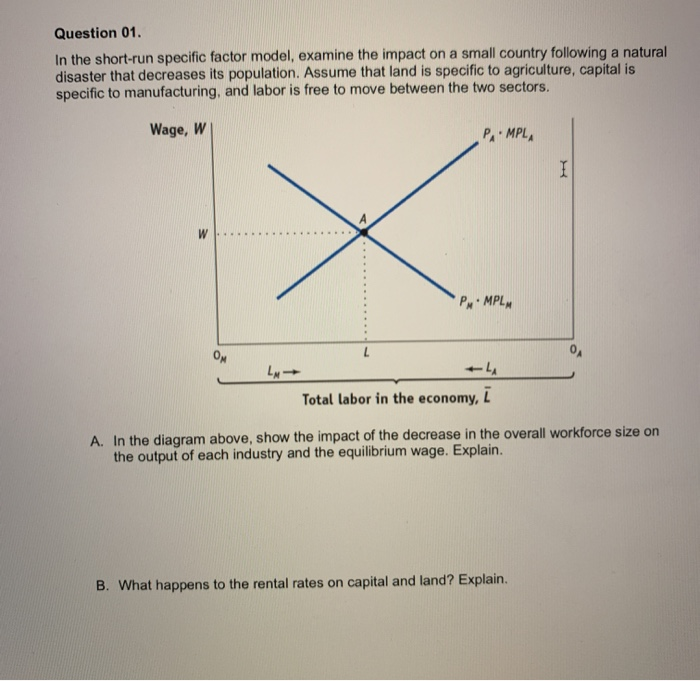 Solved Question 01 In the short-run specific factor model, | Chegg.com