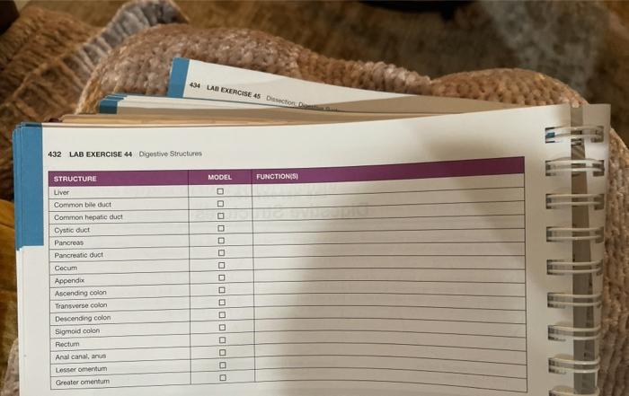 Solved 44 LAN EXERCISE 45 Deco 432 LAB EXERCISE 44 Digestive | Chegg.com