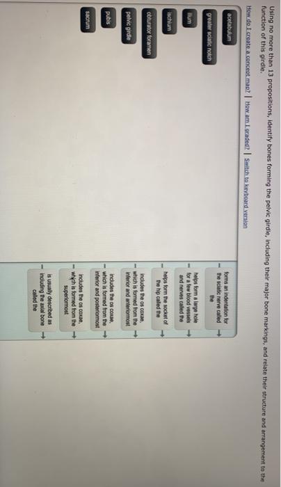Solved Using no more than 13 propositions, identify bones | Chegg.com