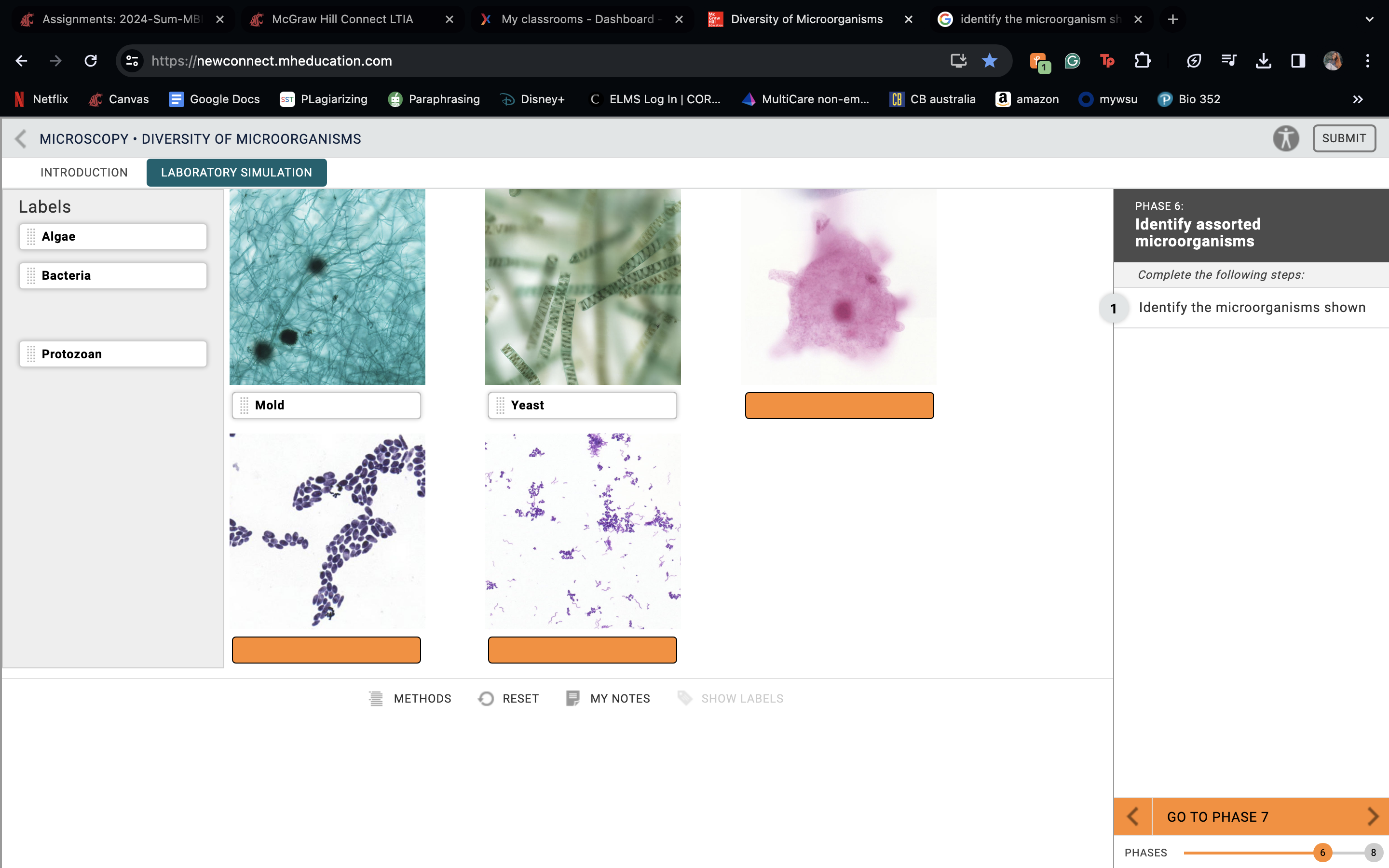 Solved Question | Chegg.com