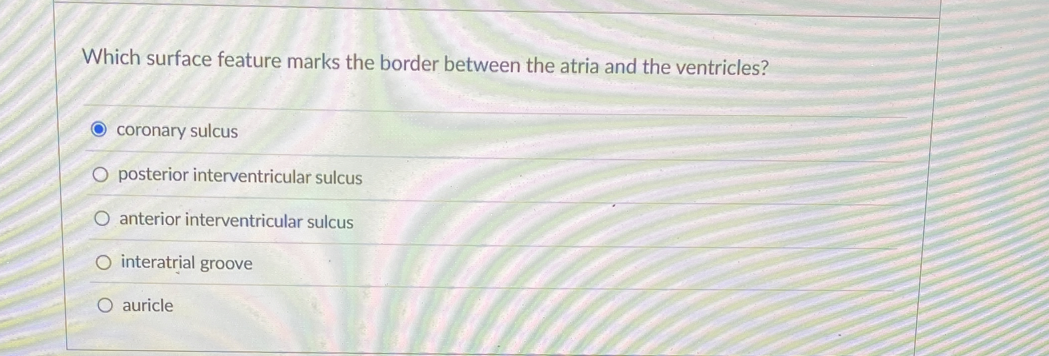 Solved Which surface feature marks the border between the | Chegg.com