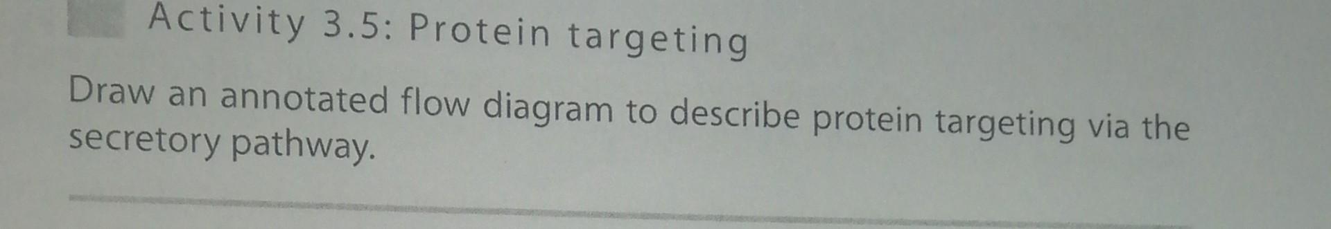 Solved Activity 3.5: Protein targeting Draw an annotated | Chegg.com